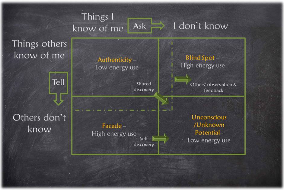 Johari Window | Caledonian Holotropic
